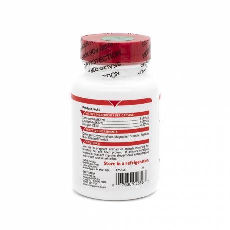 Azodyl for Cats and Dogs - Supports Renal Function | VetRxDirect Pharmacy