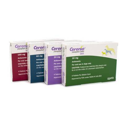 Cerenia: Tablets to Prevent Vomiting in Dogs | VetRxDirect