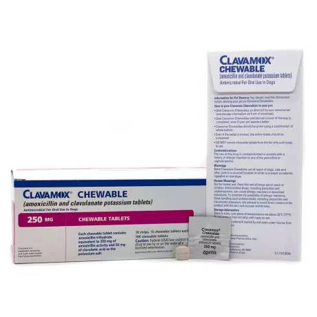 Clavamox Chewable Tablets for Dogs - Amoxicillin/Clavulanate | VetRxDirect | 62.5mg Tablet