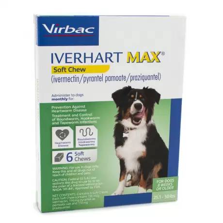 Iverhart Max Soft Chews for Dogs - Ivermectin/Pyrantel/Praziquantel ...