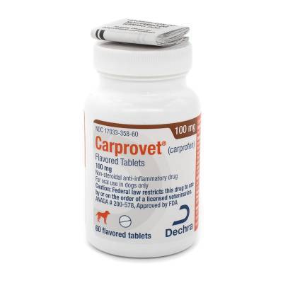 Carprovet (carprofen) Flavored Tablets for Dogs - NSAID | VetRxDirect ...