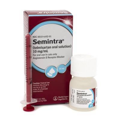 Hypertension in Cats - Telmisartan by Semintra | VetRxDirect | 10mg/mL ...