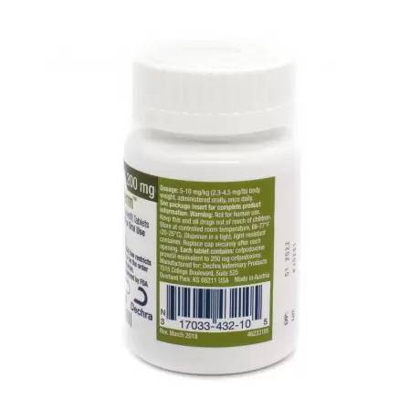 Cefpodoxime Proxetil (Generic) Tablets
