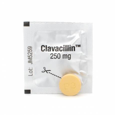 Amoxicillin Clavulanate - Antibiotic Tablets for Dogs | VetRxDirect ...