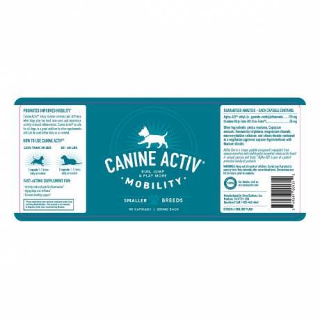 Rejuvenate Plus - Creatine Supplement for Dogs | VetRxDirect