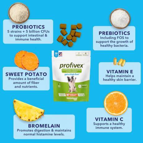profivex Powder - 5 Strain Probiotics for Dogs and Cats | VetRxDirect