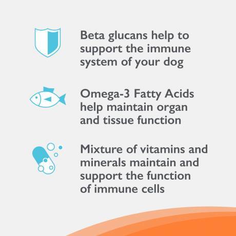 imuquin for Dogs and Puppies - Immune Health Support with Beta Glucan ...