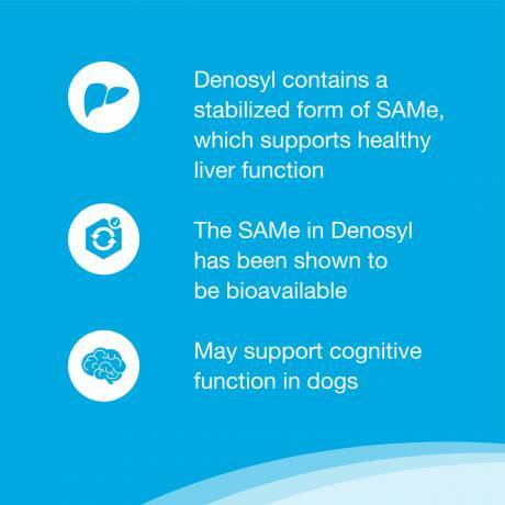 Denosyl Tablets for Dogs and Cats - SAMe Liver Supplement | VetRxDirect