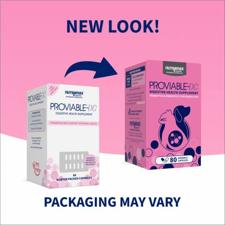 Proviable for Dogs and Cats - KP Paste and DC Capsule | VetRxDirect