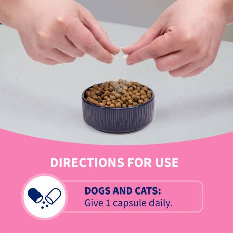 Proviable for Dogs and Cats - KP Paste and DC Capsule | VetRxDirect