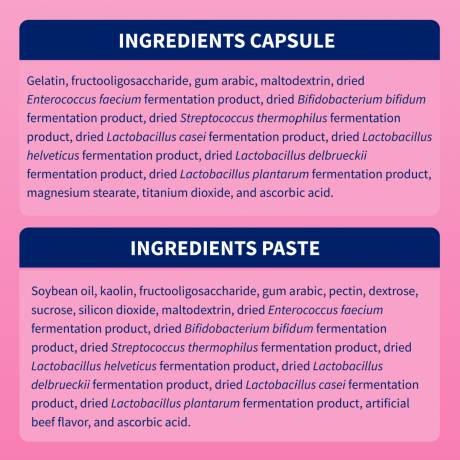 Proviable for Dogs and Cats - KP Paste and DC Capsule | VetRxDirect