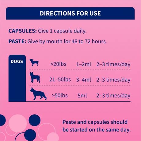 Proviable for Dogs and Cats - KP Paste and DC Capsule | VetRxDirect