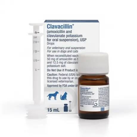 Amoxicillin/Clavulanate Potassium Suspension for Dogs/Cats ...