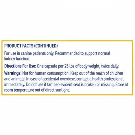 Rx Renal for Cats and Dogs - Support Normal Kidney Function | VetRxDirect