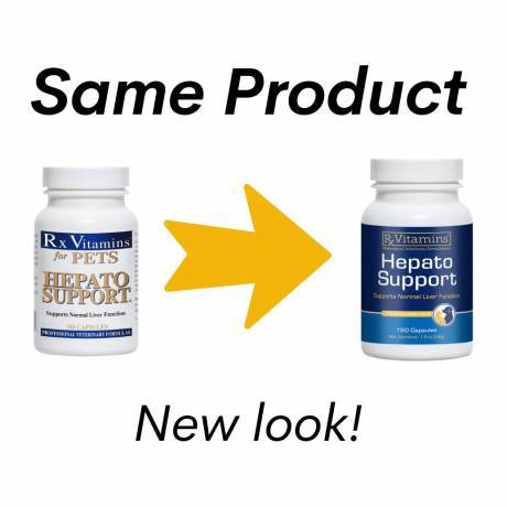 Hepato Support - Supports Normal Liver Function in Dogs and Cats ...