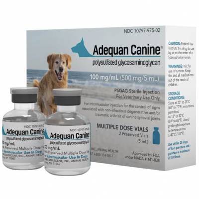 Adequan Canine: Adequan for Dogs - Joint Injection - VetRxDirect ...