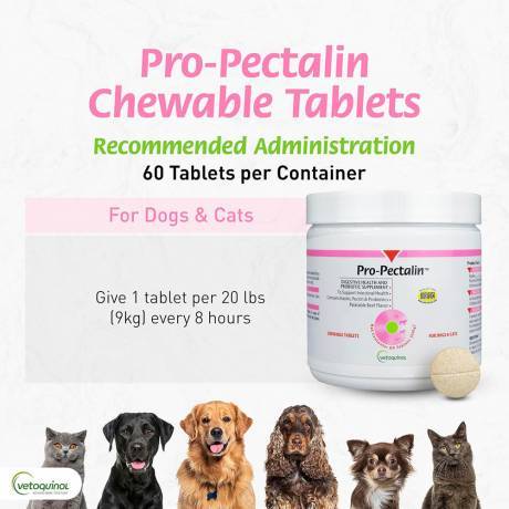 Pro-Pectalin for Dogs and Cats - Anti-Diarrheal | VetRxDirect
