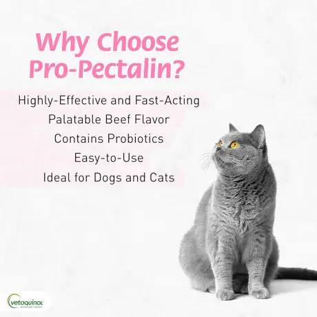 Pro-Pectalin for Dogs and Cats - Anti-Diarrheal | VetRxDirect