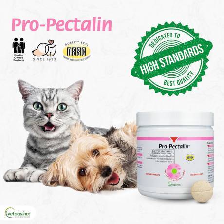 Pro-Pectalin for Dogs and Cats - Anti-Diarrheal | VetRxDirect