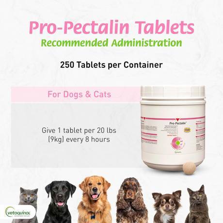 Pro-Pectalin for Dogs and Cats - Anti-Diarrheal | VetRxDirect