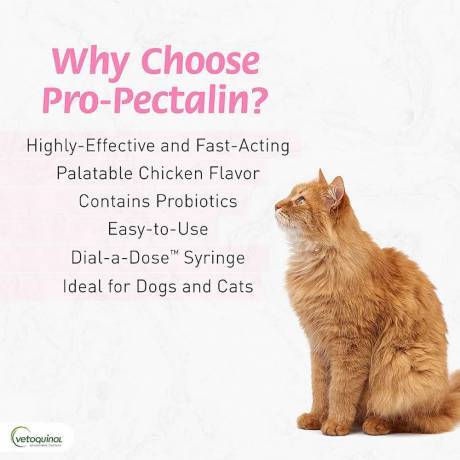 Pro-Pectalin for Dogs and Cats - Anti-Diarrheal | VetRxDirect
