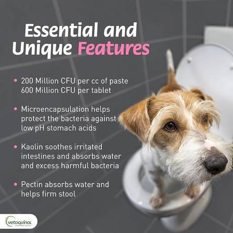 Pro-Pectalin for Dogs and Cats - Anti-Diarrheal | VetRxDirect