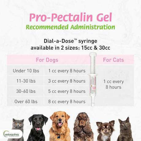 Pro-Pectalin for Dogs and Cats - Anti-Diarrheal | VetRxDirect