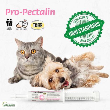 Pro-Pectalin for Dogs and Cats - Anti-Diarrheal | VetRxDirect