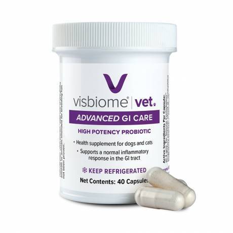 Visbiome Vet for Dogs - High Potency Probiotic for Dogs | VetRxDirect ...