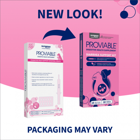 Proviable for Dogs and Cats - KP Paste and DC Capsule | VetRxDirect