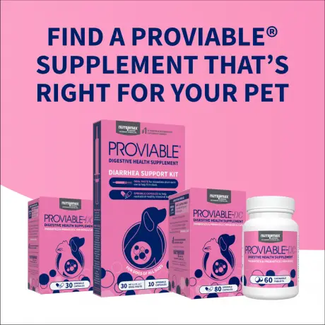 Proviable for Dogs and Cats - KP Paste and DC Capsule | VetRxDirect