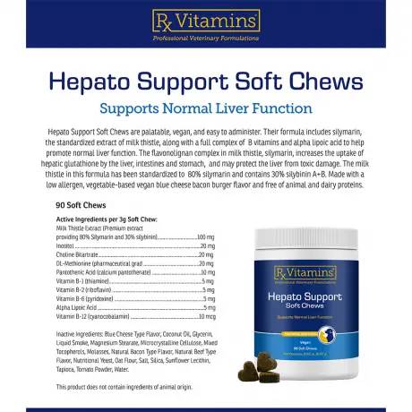 Hepato Support - Supports Normal Liver Function in Dogs and Cats ...
