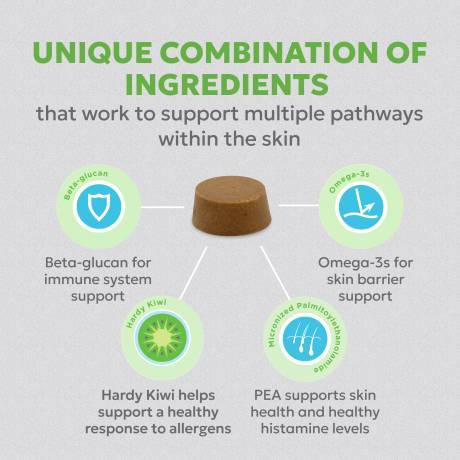 Dermaquin Allergy Support for Dogs and Cats | VetRxDirect