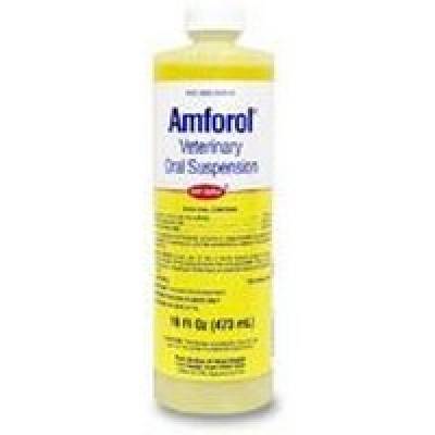Amforol Suspension
