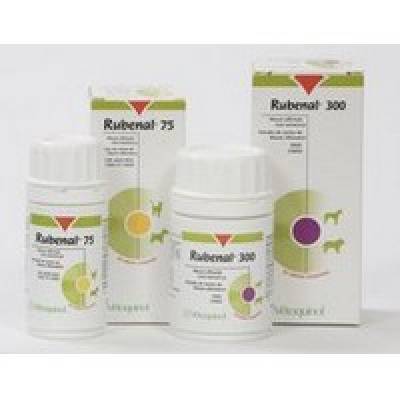 Rubenal: Kidney Function in Cats and Dogs - Rheum Officinale