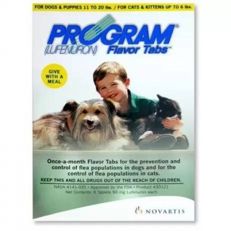 Program Flavor Tabs for Cats: Lufenuron - Flea Meds for Cats