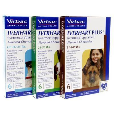 Iverhart Plus - Dog Heartworm | VetRxDirect Pharmacy | Up to 25 lbs, 6 ...