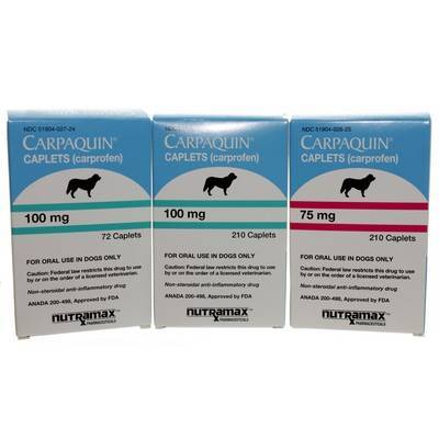 Carpaquin - Carprofen Pain Reliever for Dogs | VetRxDirect