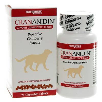 Crananidin for Dogs - Cranberry Extract - Dog Urinary Health | VetRxDirect