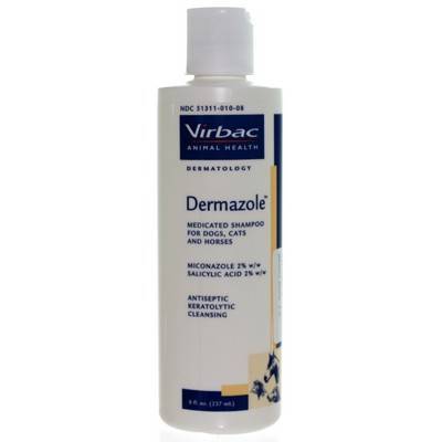 Dermazole: Medicated Shampoo for Dogs and Cats - VetRxDirect