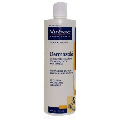 Dermazole: Medicated Shampoo for Dogs and Cats - VetRxDirect