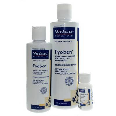 Pyoben Dermatology Medicated Shampoo for Dogs and Cats