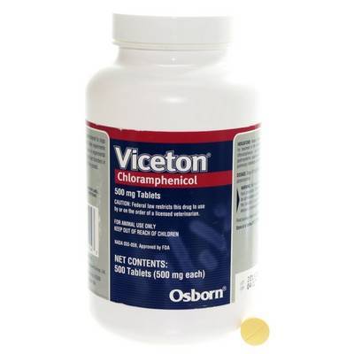 Viceton (Chloramphenicol) Antibiotic Tablets for Dogs