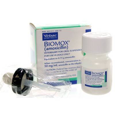 Biomox for Dogs - Amoxicillin for Dog - VetRxDirect.Pharmacy