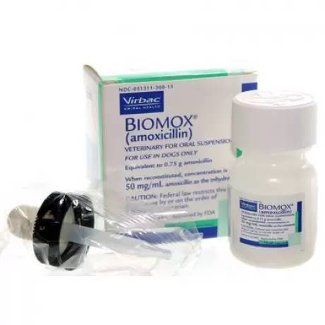 Biomox for Dogs - Amoxicillin for Dog - VetRxDirect.Pharmacy