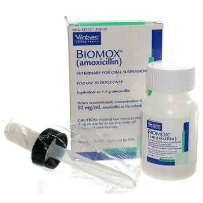 Biomox for Dogs - Amoxicillin for Dog - VetRxDirect.Pharmacy