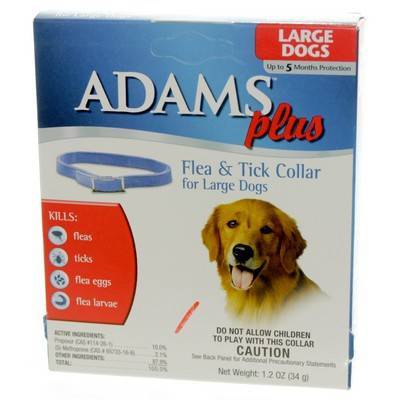 Can Dogs Lick Panalog Ear Drops For Dogs