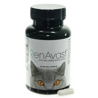 RenAvast - Kidney Support for Cats and Dogs | VetRxDirect