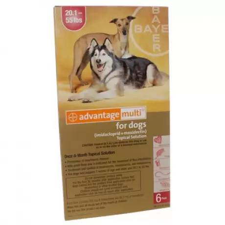 Advantage Multi for Dogs - Heartworm/Flea Med | VetRxDirect