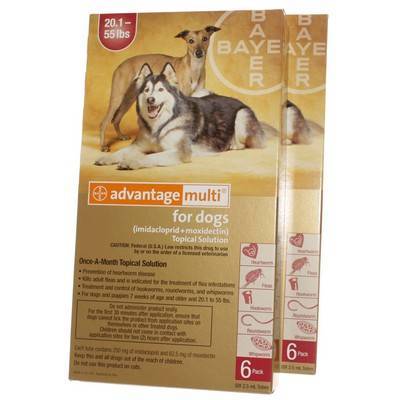 Advantage Multi for Dogs - Heartworm/Flea Med | VetRxDirect | 20.1-55 ...